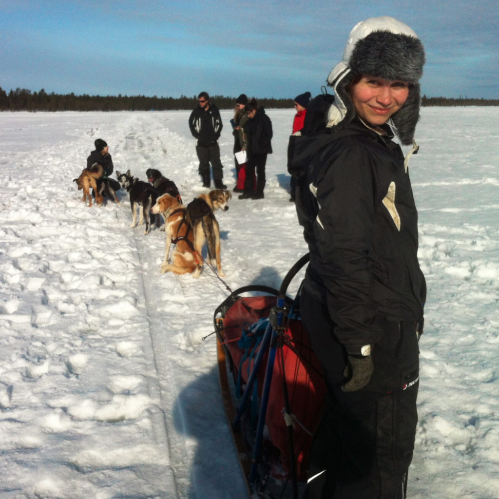 Open Unofficial Working Dogs World Champion Sled Dog Race (2013, 90km ...